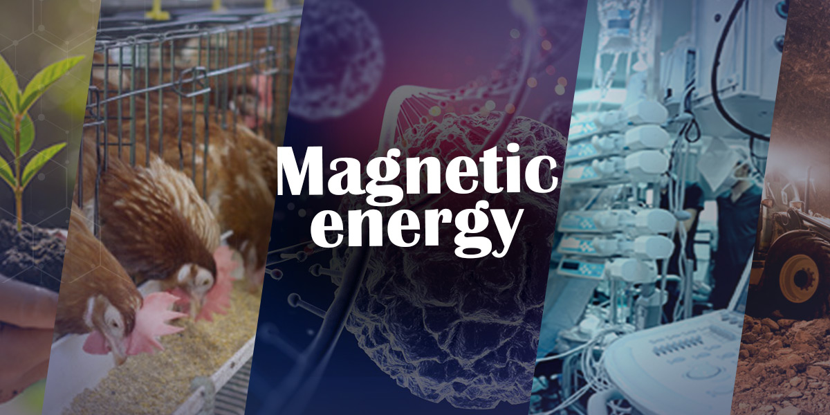 Magnetism – econtum